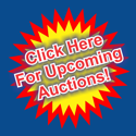 Aasness Auctioneers